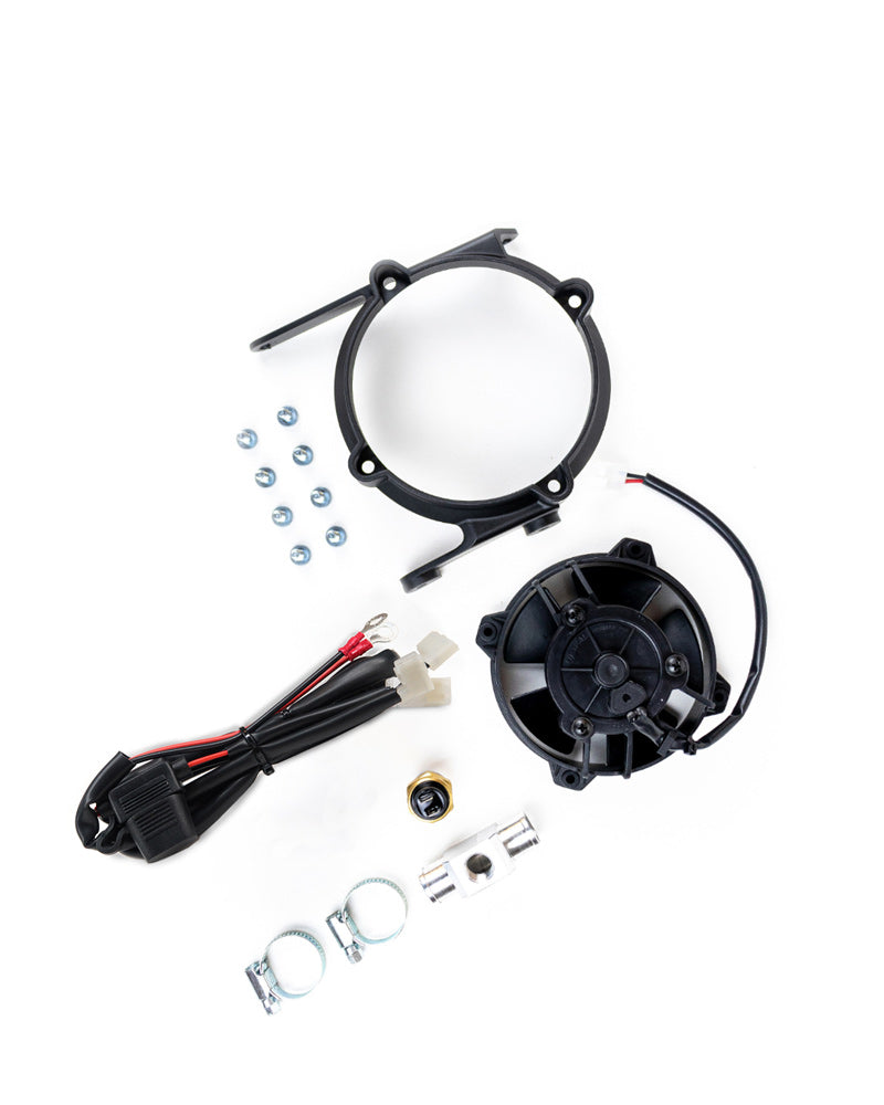 Original SPAL Radiator Cooling Fan & Mounting Kit with Thermoswitch ...